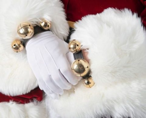 Pro Santa Shop - For the Professional Santa