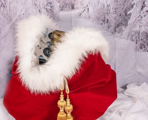 Pro Santa Shop - For the Professional Santa