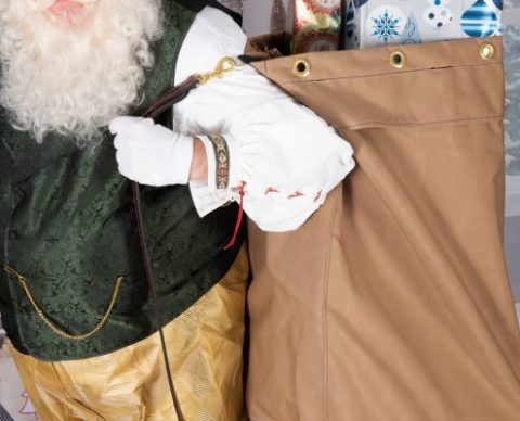 Pro Santa Shop - For the Professional Santa