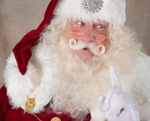 Pro Santa Shop - For the Professional Santa